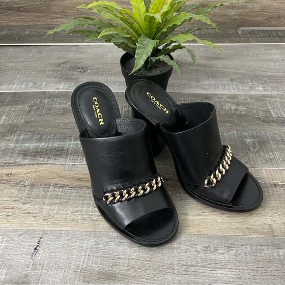 Coach | Shoes | Coach Kylie Semi Matte Calf Leather Chunky Heel Slide ...